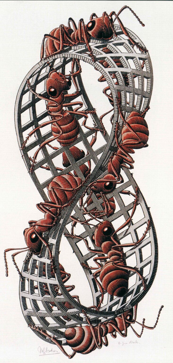 Enigmatico Escher | Artribune