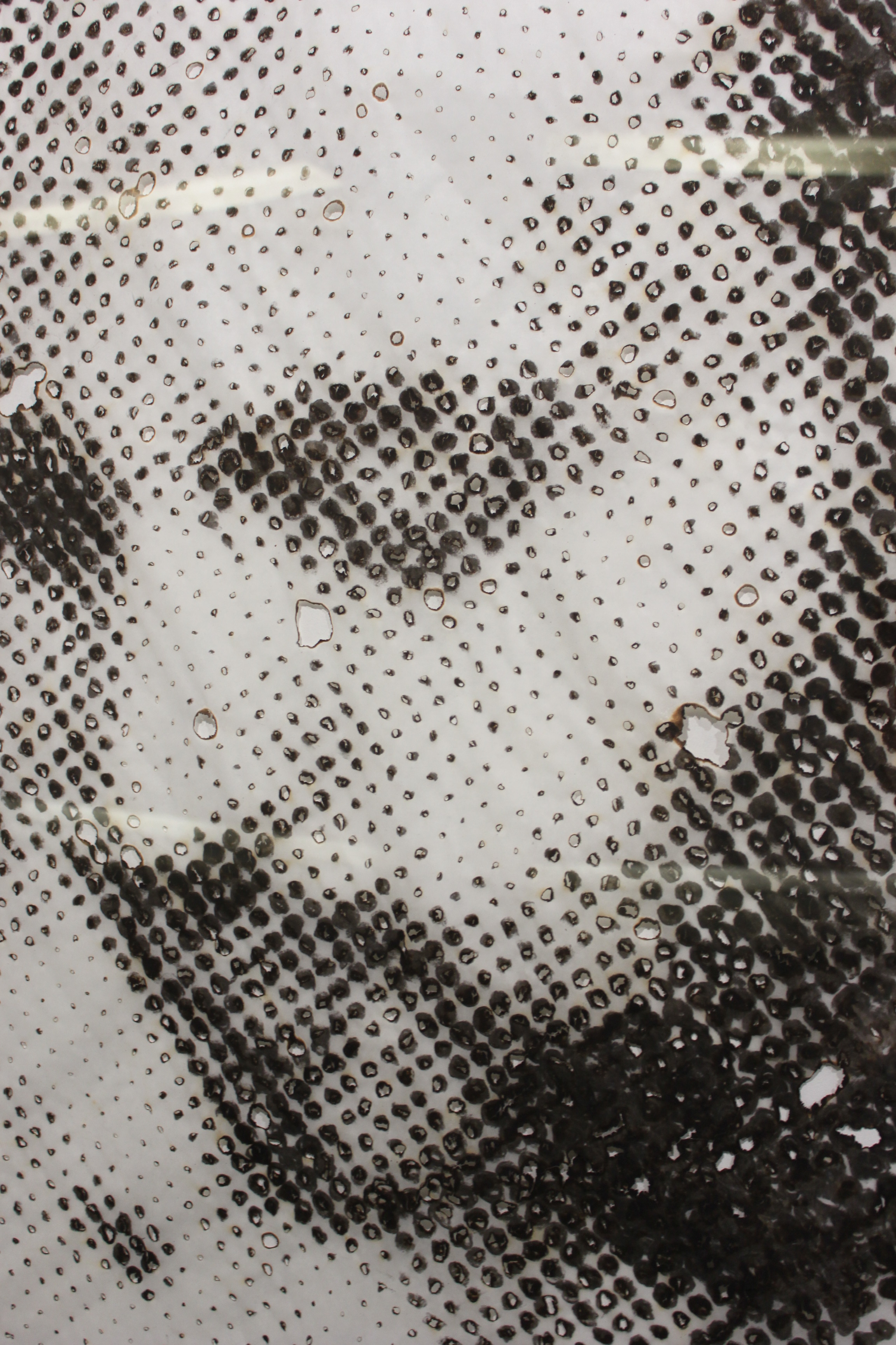 Cronaca e memoria. Nei ritratti bruciati di Davide Cantoni | Artribune