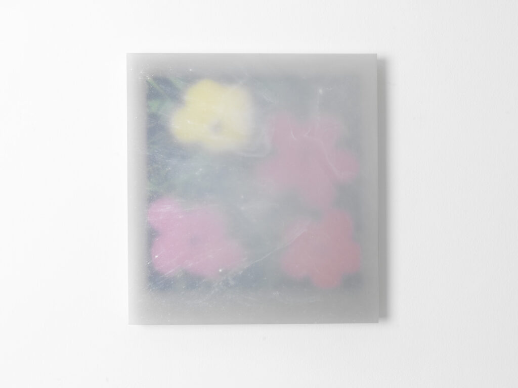 La Wunderkammer di Herbert Hamak. A Verona | Artribune