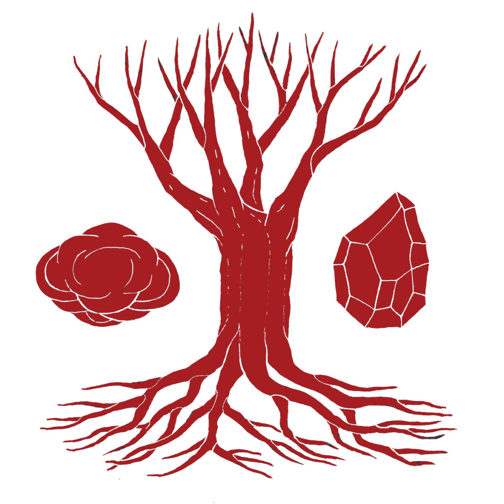 Andreco, in viaggio tra arte, scienza e natura | Artribune