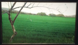 Giuseppe Colombo in mostra a Modica | Artribune