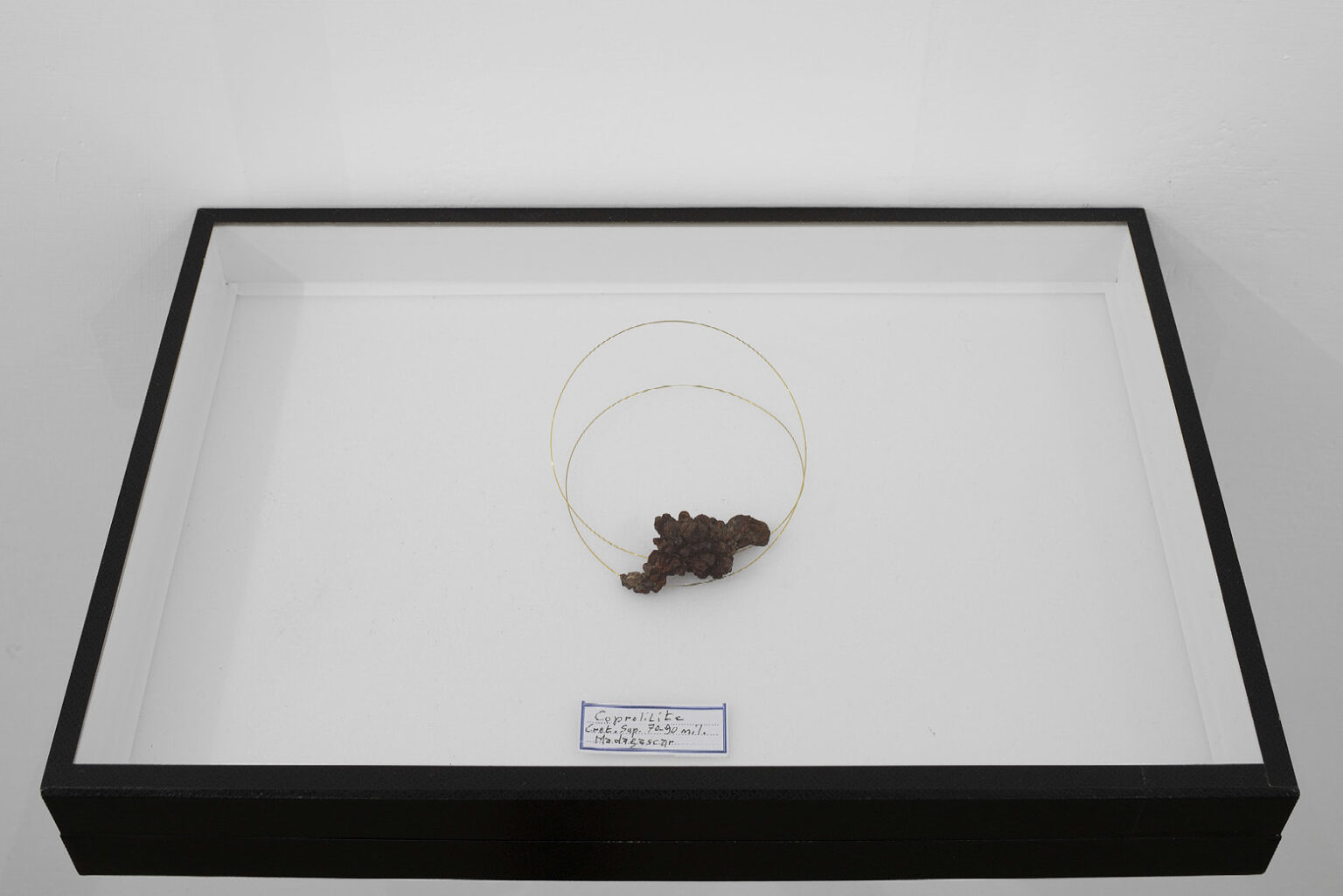 Elisabetta Benassi a Roma | Artribune