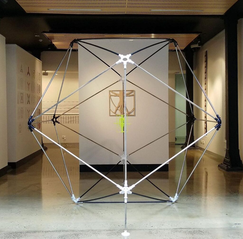 Intervista a Daniela Bertol | Artribune