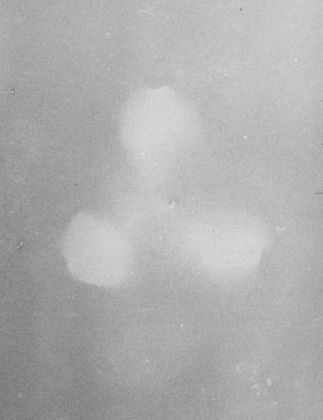 Jochen Lempert in mostra a Modena | Artribune