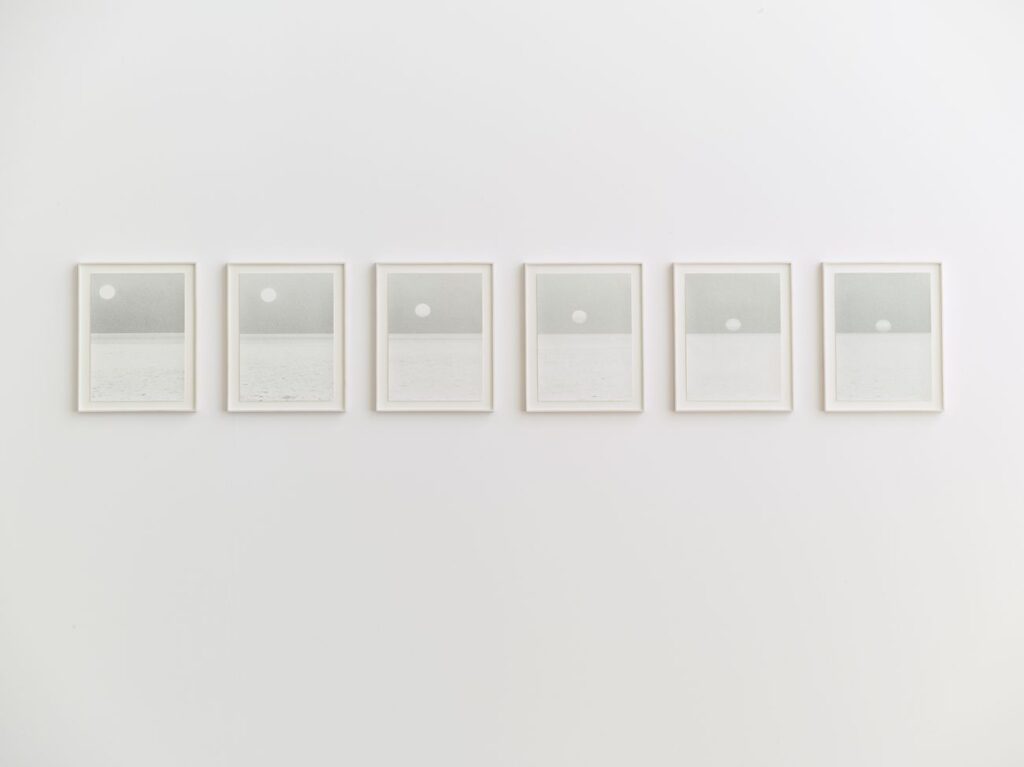 Jochen Lempert in mostra a Modena | Artribune