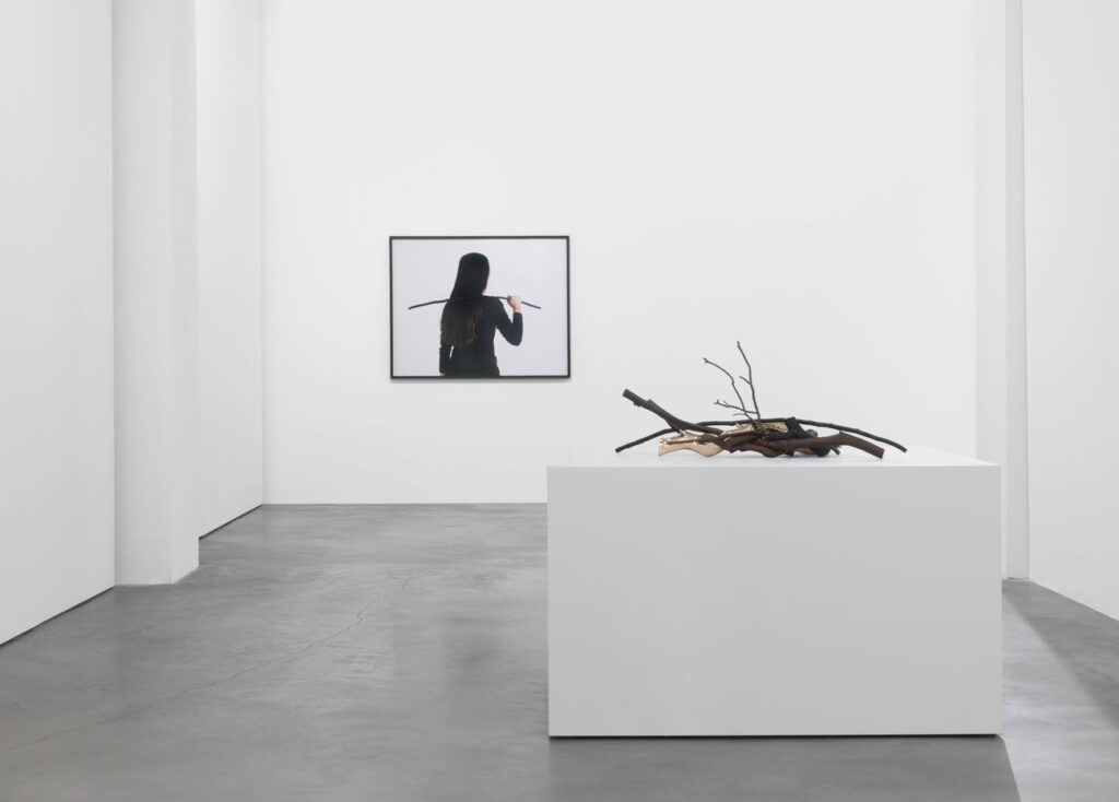 Sharon Lockhart in mostra a Modena | Artribune