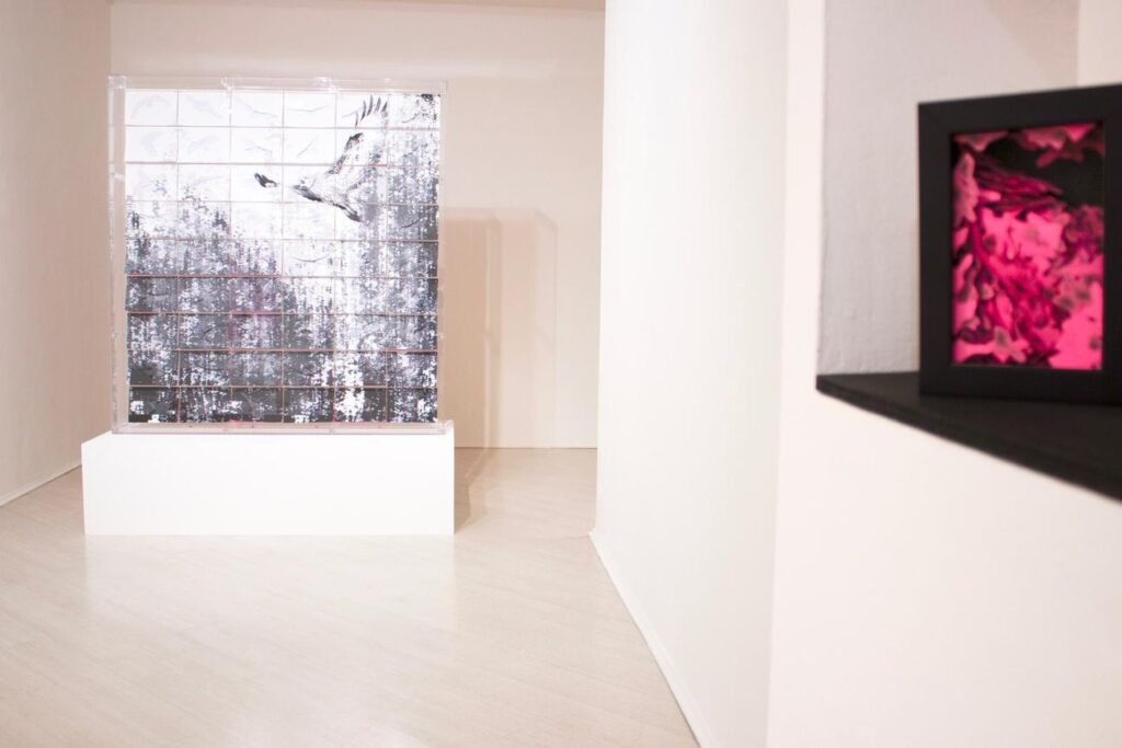 Valentina Colella in mostra a Milano | Artribune