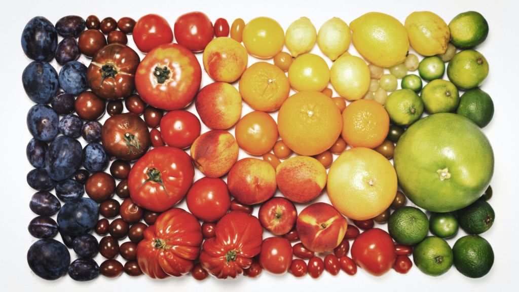 In a nutshell: il mondo, in sintesi | Artribune