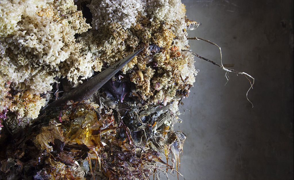 Il video della mostra di Gabriele Silli a Roma | Artribune