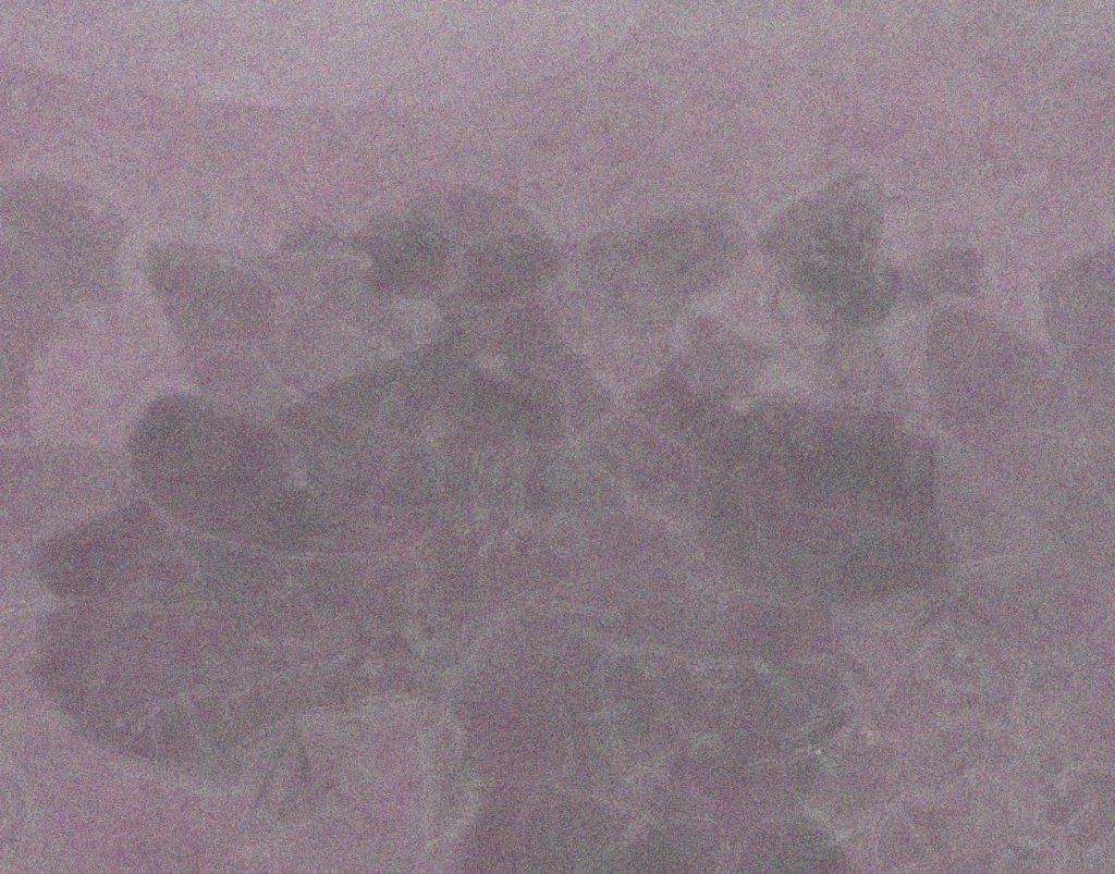 Maliheh Afnan in mostra a Nuoro | Artribune