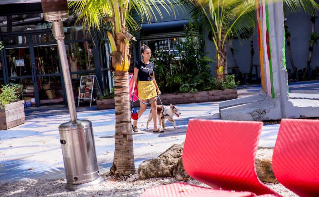Storia e immagini di Miami Ironside | Artribune