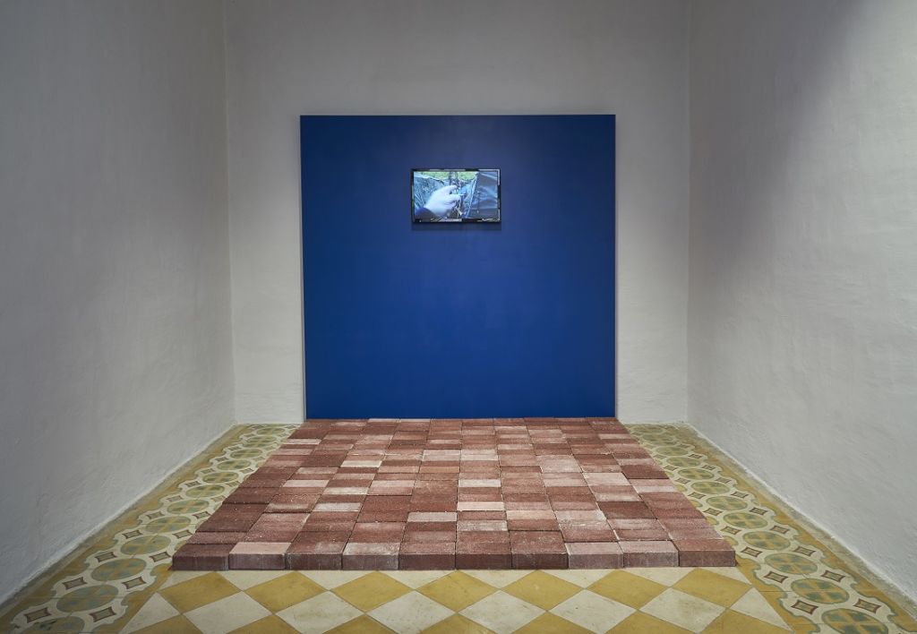 Attivismo e arte. Intervista alla curatrice Sara Dolfi Agostini | Artribune
