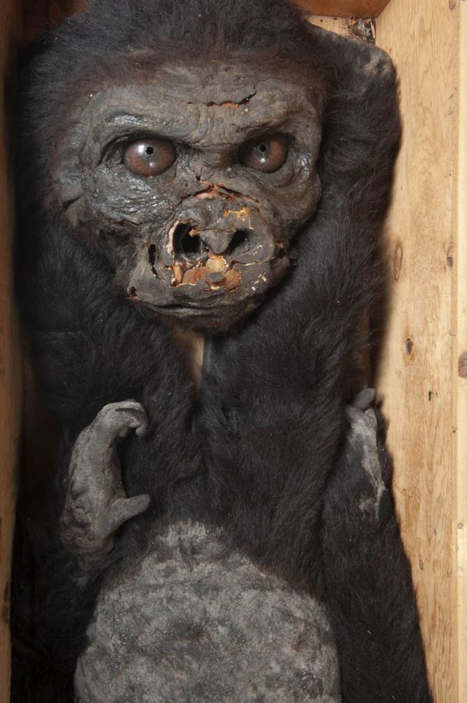 La mostra su Carlo Rambaldi a Roma | Artribune