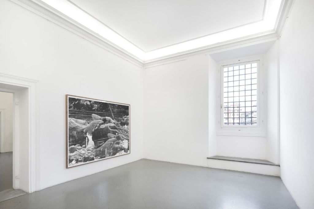 Tim Plamper in mostra da Eduardo Secci a Firenze | Artribune