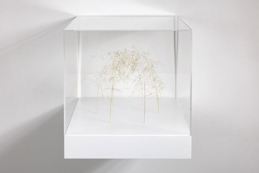 L’insensata bellezza del tutto. Christiane Löhr a Napoli