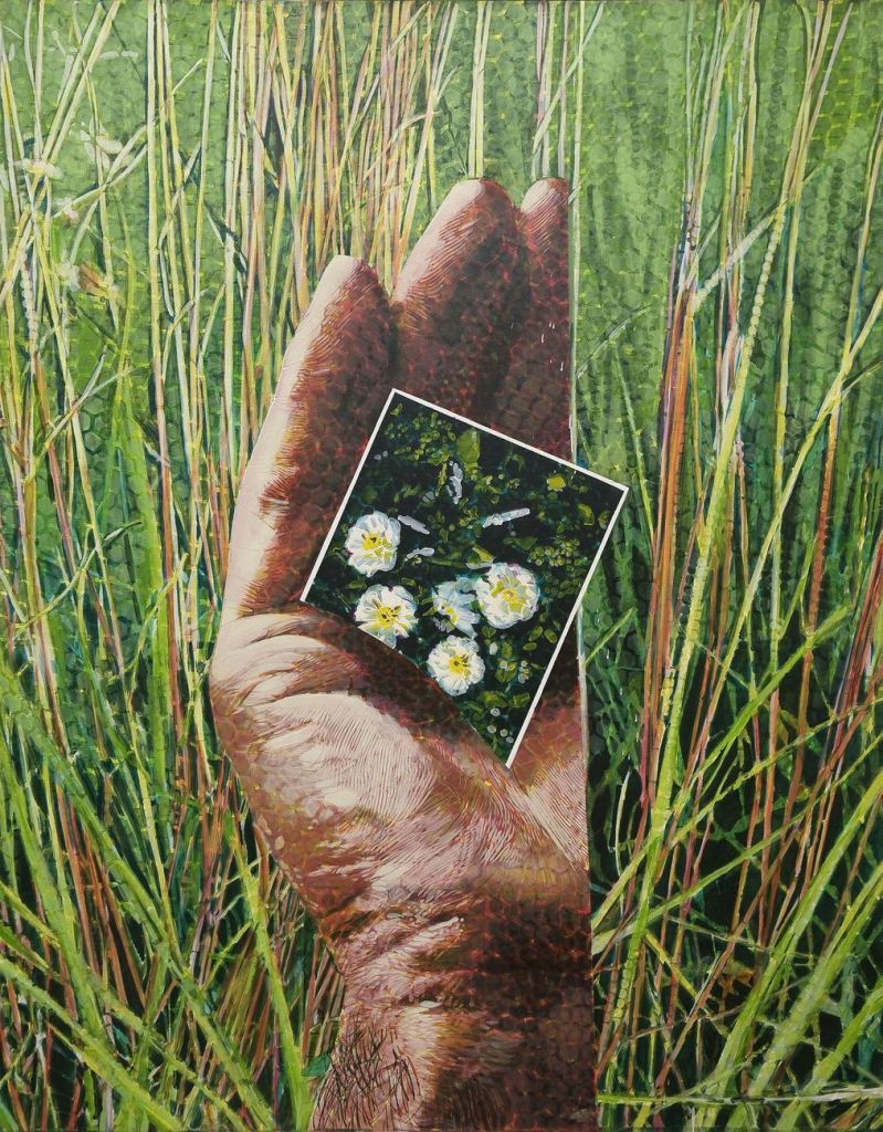 Storia del pittore Claudio Cintoli