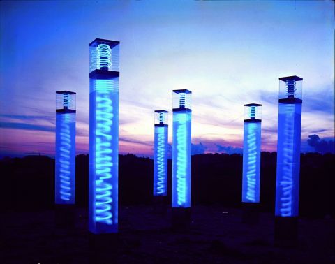 La mostra su Laura Grisi in Svizzera