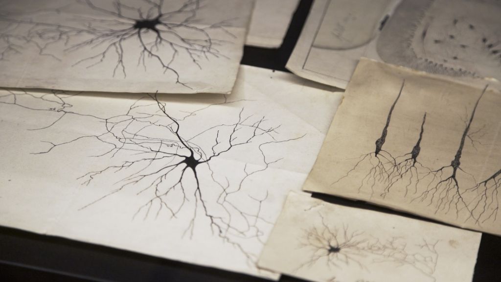 La mostra di Francesco Bertocco al MA*GA di Gallarate
