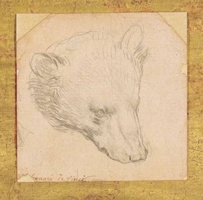 La testa d’orso di Leonardo in asta | Artribune