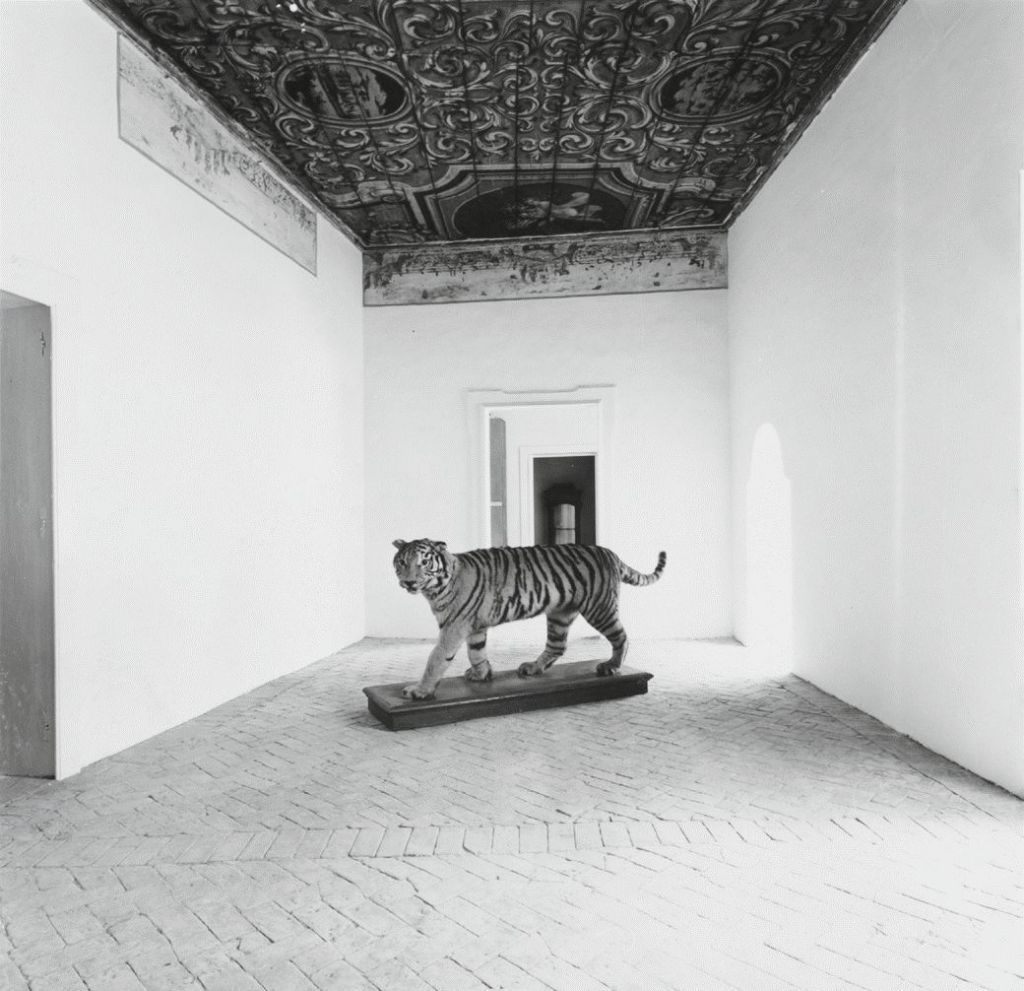 La mostra di Carlo Garzia a Lecce