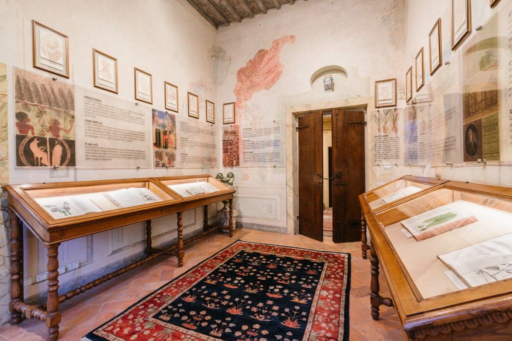 Storia e attività dell’Aboca Museum di Sansepolcro