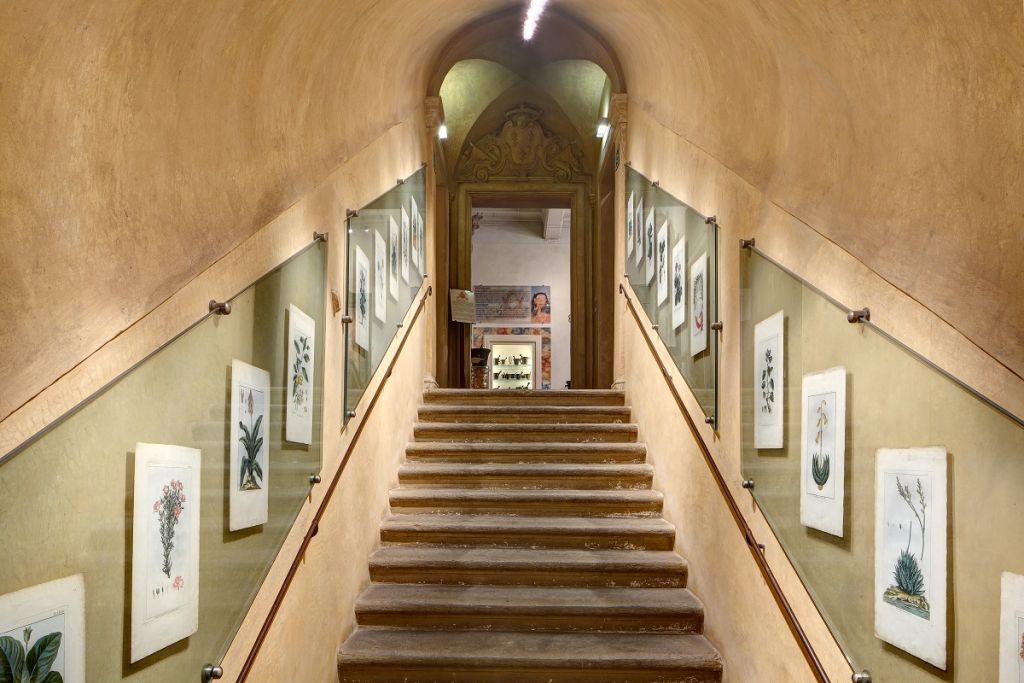 Storia e attività dell’Aboca Museum di Sansepolcro