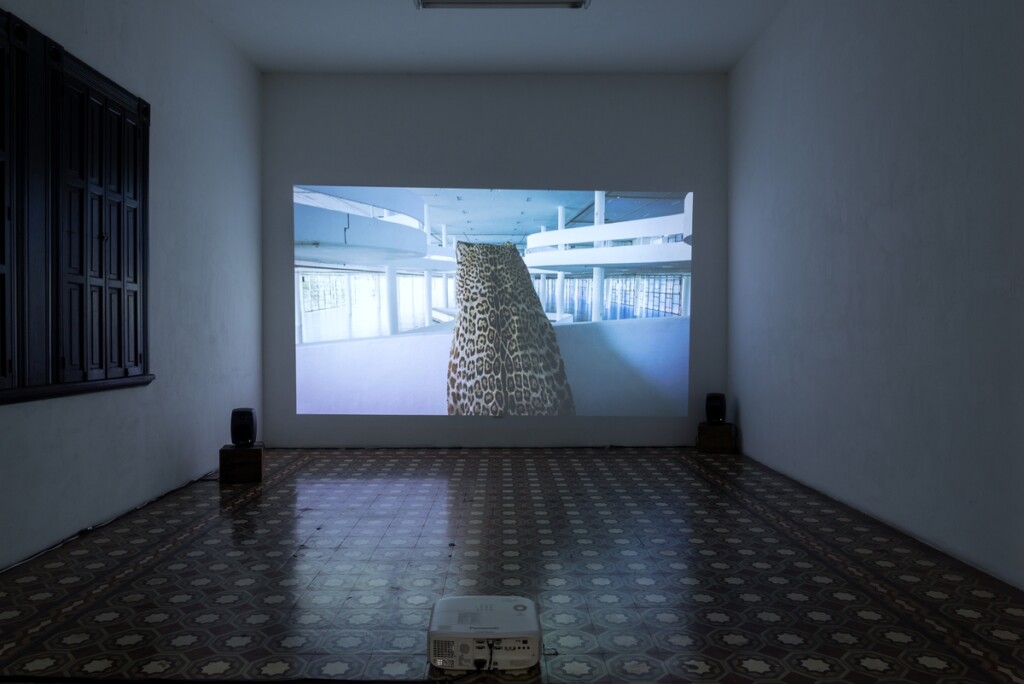 Intervista all’artista Edgar Calel | Artribune