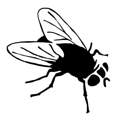 La mostra dello street artist Hogre da Wunderkammern a Roma | Artribune