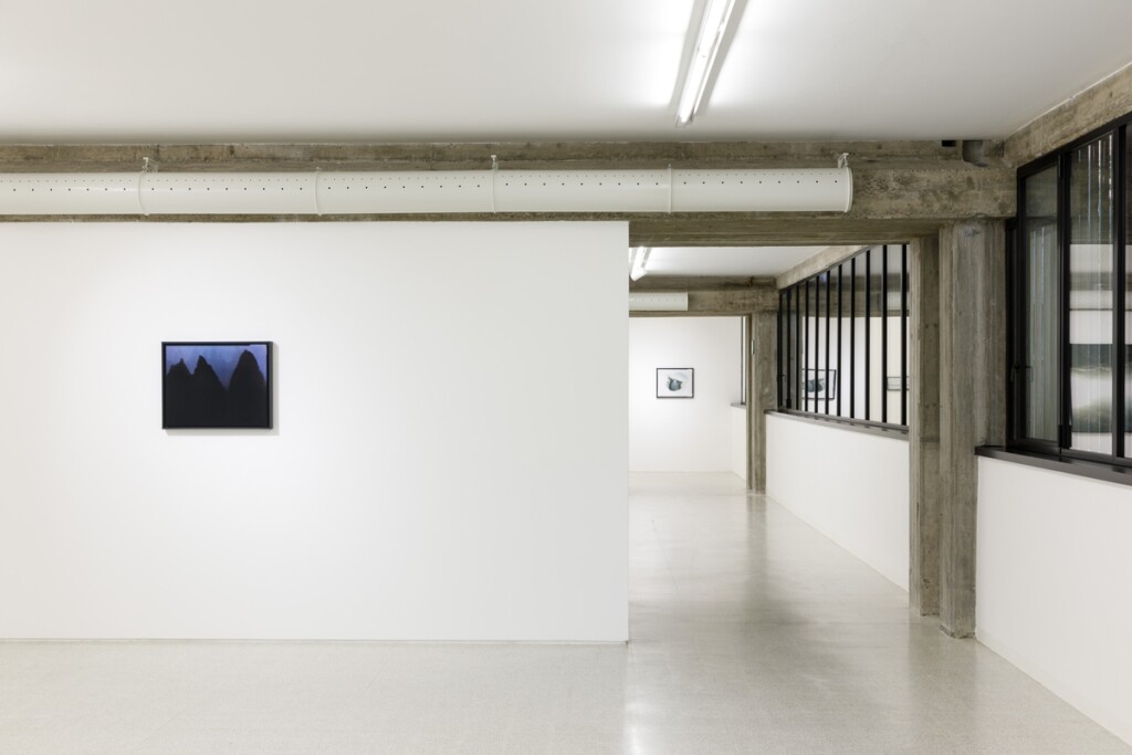 La mostra di Carlo Valsecchi alla Collezione Maramotti | Artribune