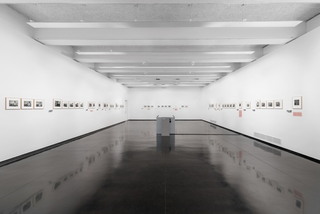 La mostra del 1966 di Richard Serra ricostruita al MACRO | Artribune