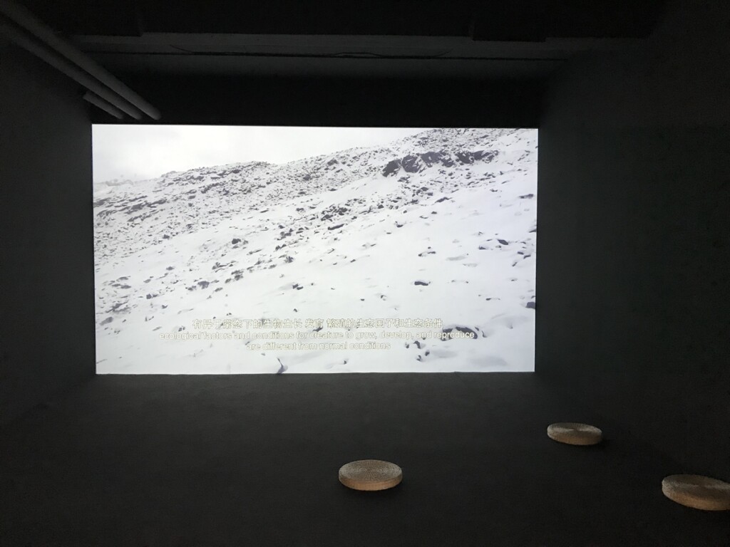 Documenta 15: un glossario da Kassel | Artribune