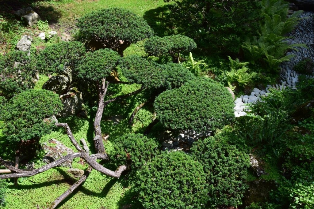 Il giardino di ispirazione giapponese di Erik Borja | Artribune