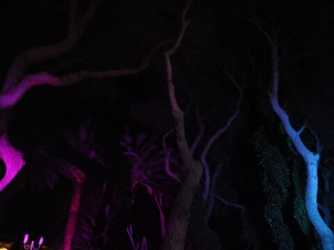 Artisti contemporanei, media e società | Artribune