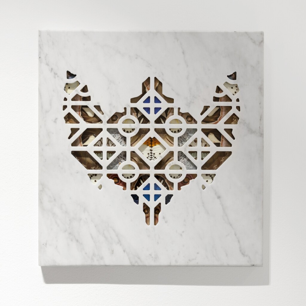 La mostra di Giulia Manfredi da Gaggenau a Roma | Artribune