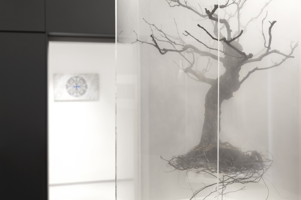 La mostra di Giulia Manfredi da Gaggenau a Roma | Artribune