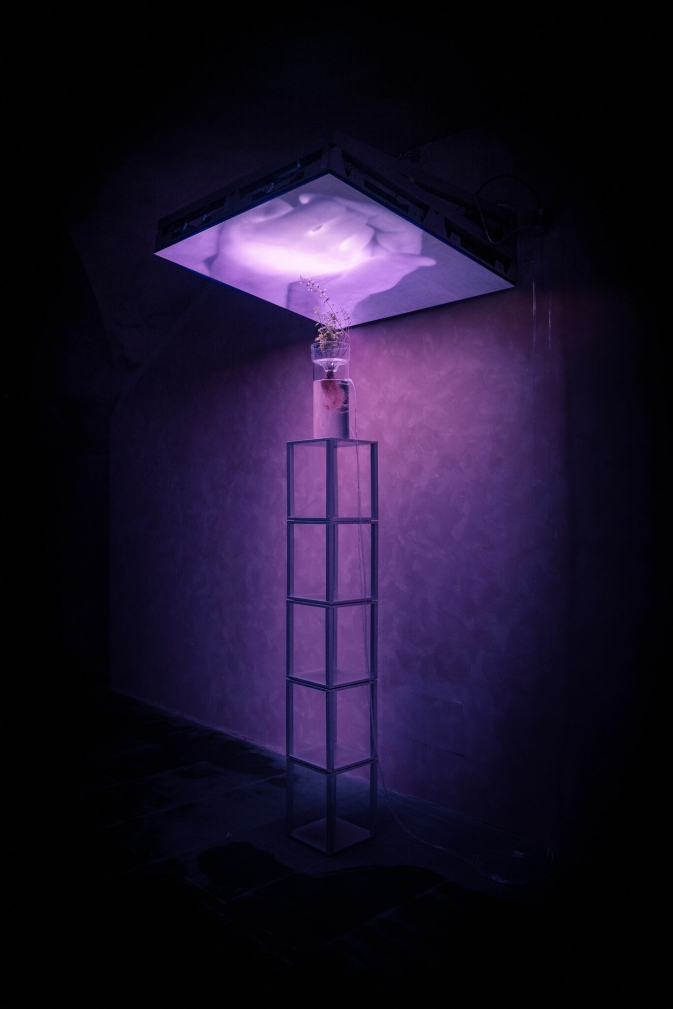 La mostra di Jesper Just al Museo Marino Marini | Artribune