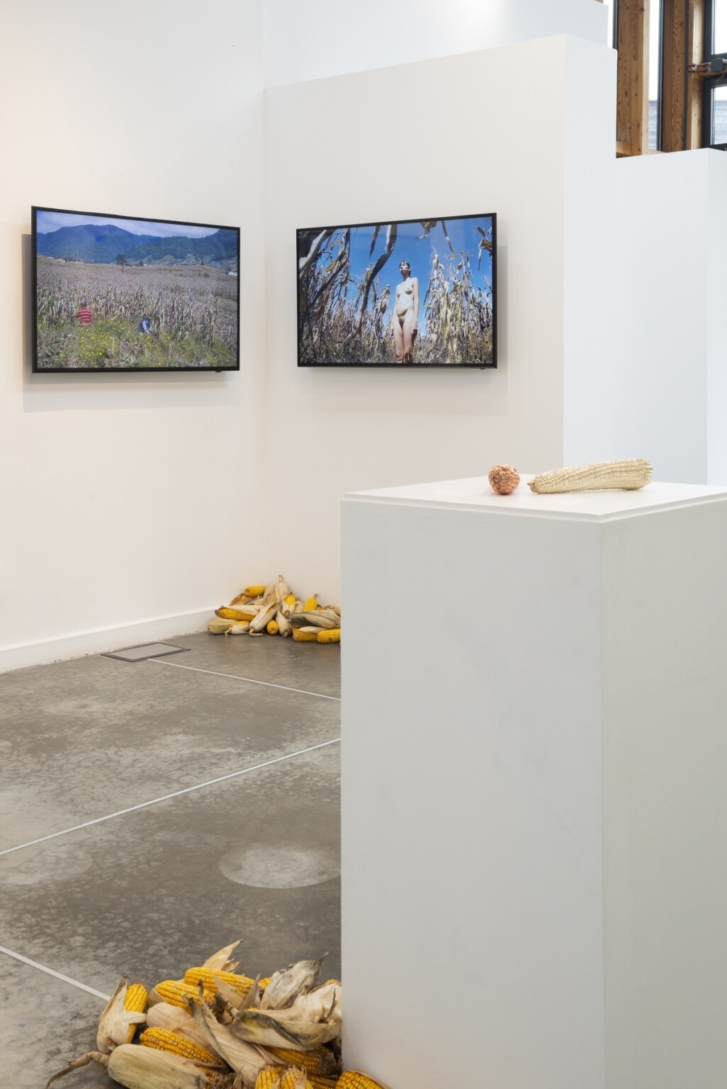 Intervista alla performer Regina José Galindo | Artribune