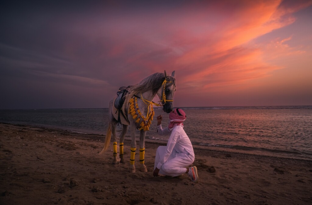 Il Kingdom Photography Award in Arabia Saudita