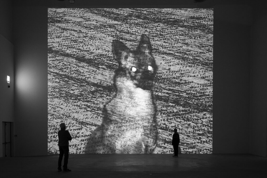 Michal Rovner alla Fondazione Merz di Torino | Artribune