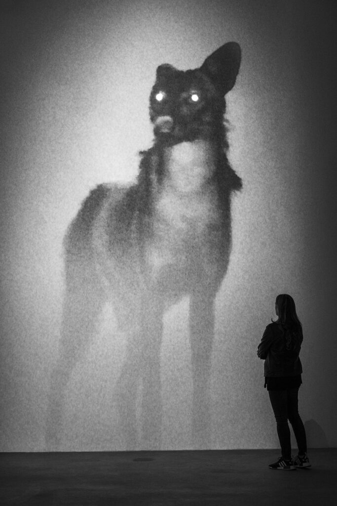 Michal Rovner alla Fondazione Merz di Torino | Artribune