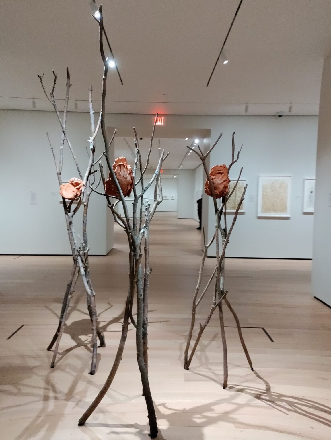 Giuseppe Penone e Amedeo Modigliani in mostra a Philadelphia | Artribune
