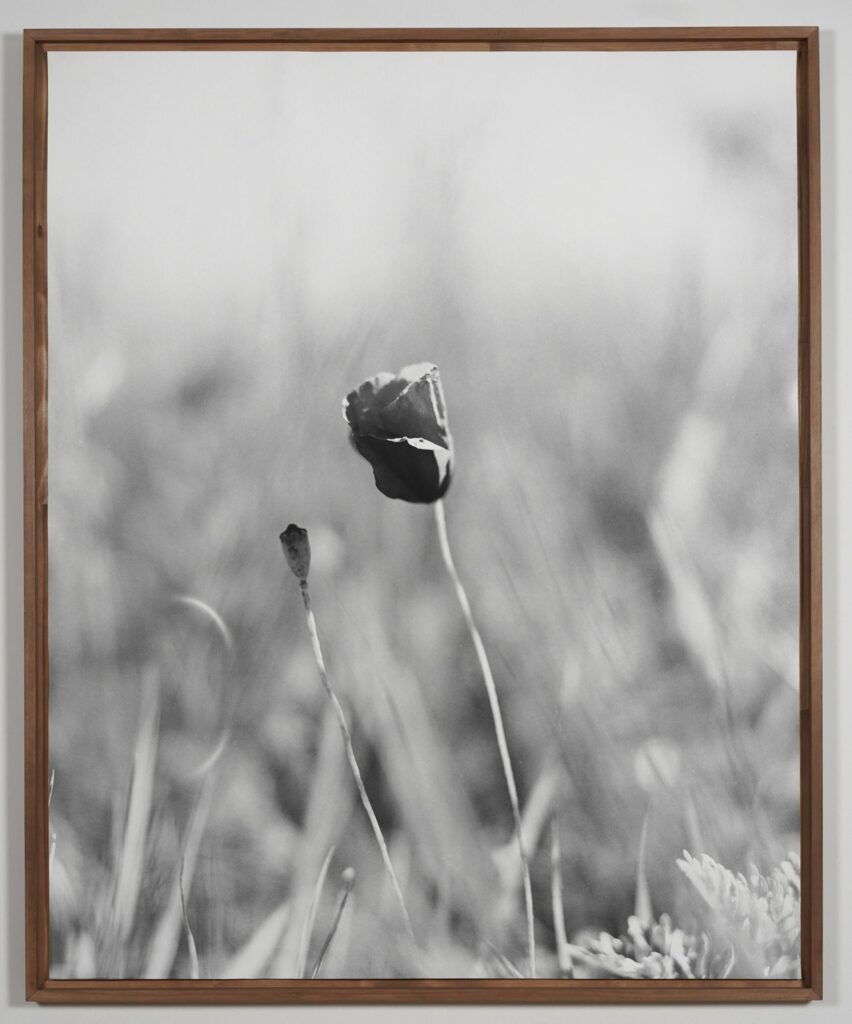 La mostra di Benjamin Jones da LOOM a Milano | Artribune