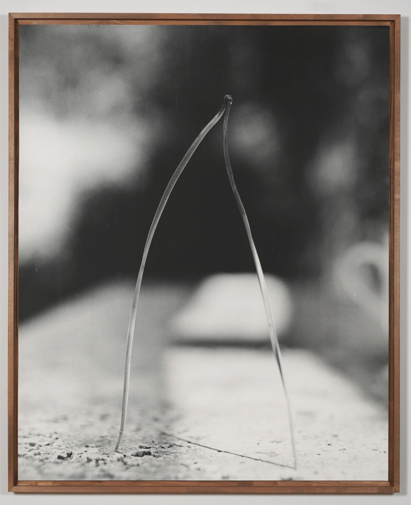 La mostra di Benjamin Jones da LOOM a Milano | Artribune