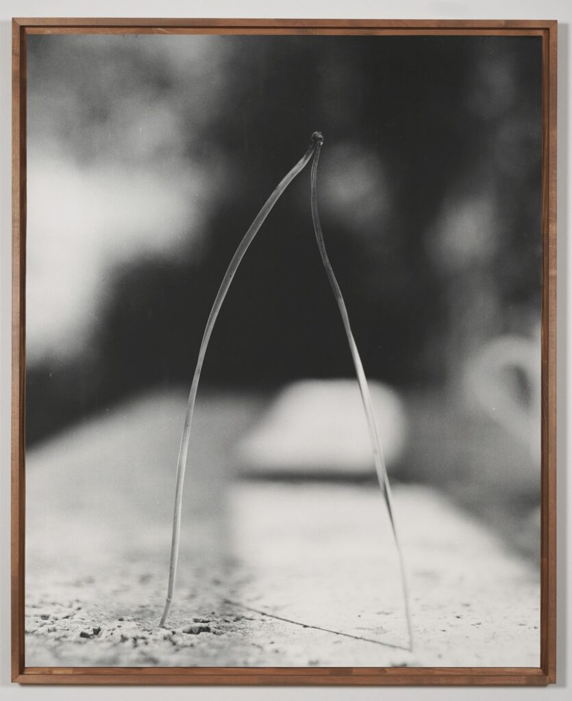 La mostra di Benjamin Jones da LOOM a Milano | Artribune