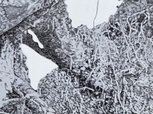 Mostra di Nicola Rotiroti da Kou Gallery a Roma | Artribune