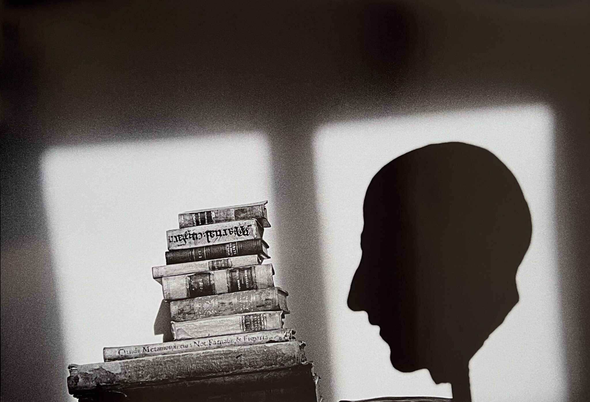 La mostra di Fulvio Magurno da Paladini a Milano | Artribune