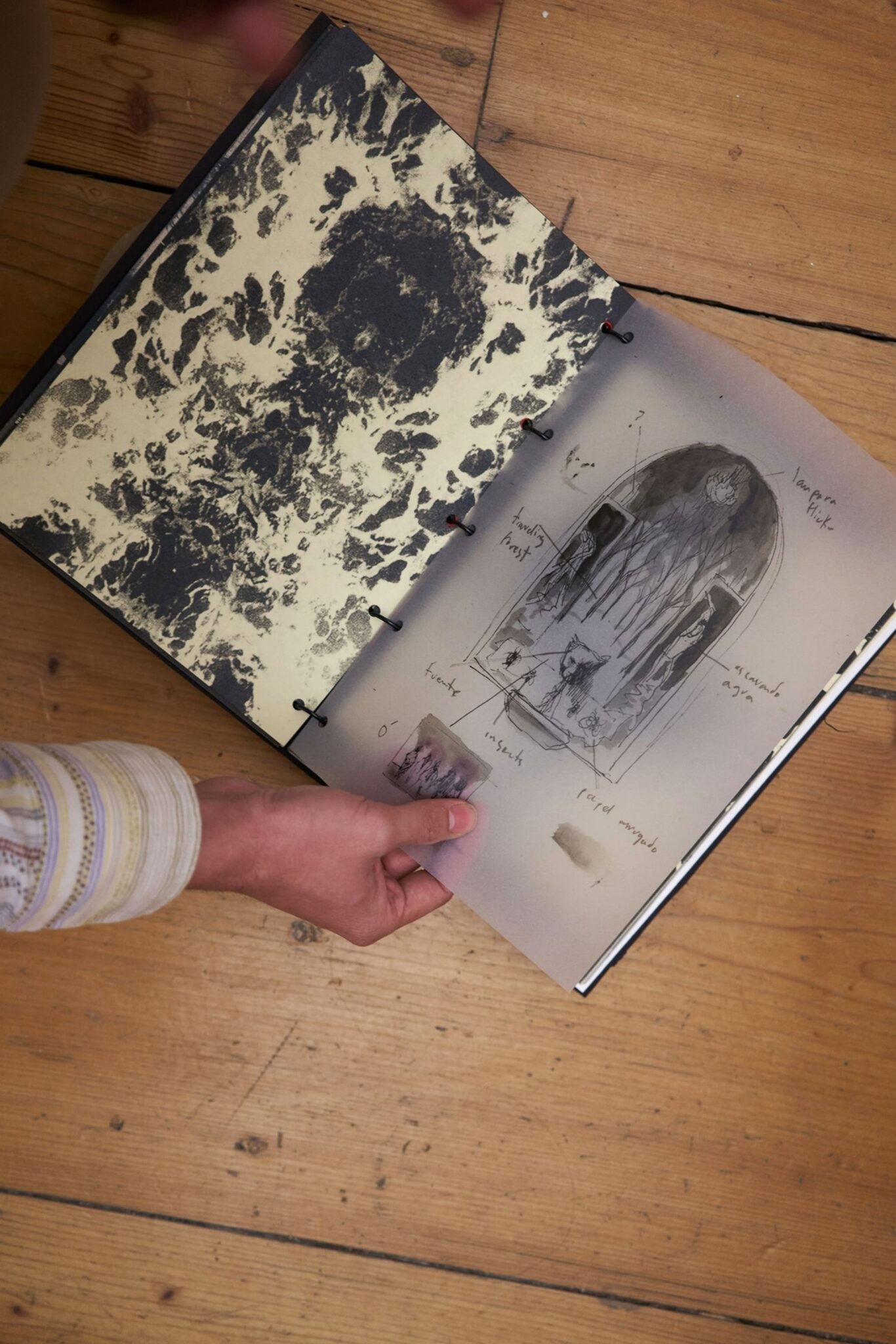 La mostra di Gonzalo Borondo a Bologna | Artribune