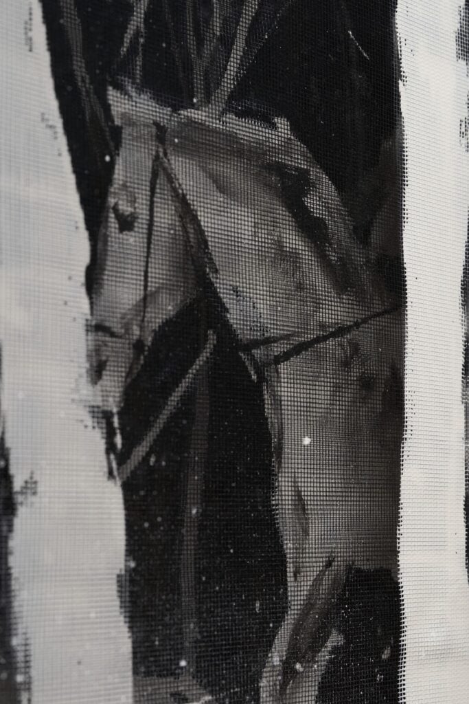 La mostra di Gonzalo Borondo a Bologna | Artribune