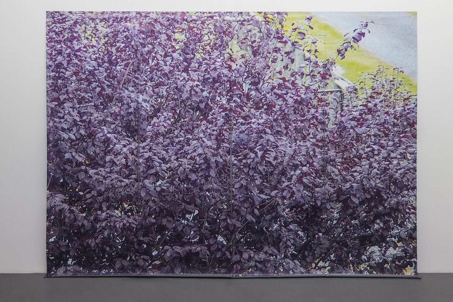 Le opere di Irene Fenara e Carlo e Fabio Ingrassia a Roma | Artribune