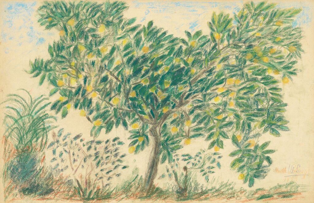 La mostra su Marthe Solange a Le Cannet | Artribune